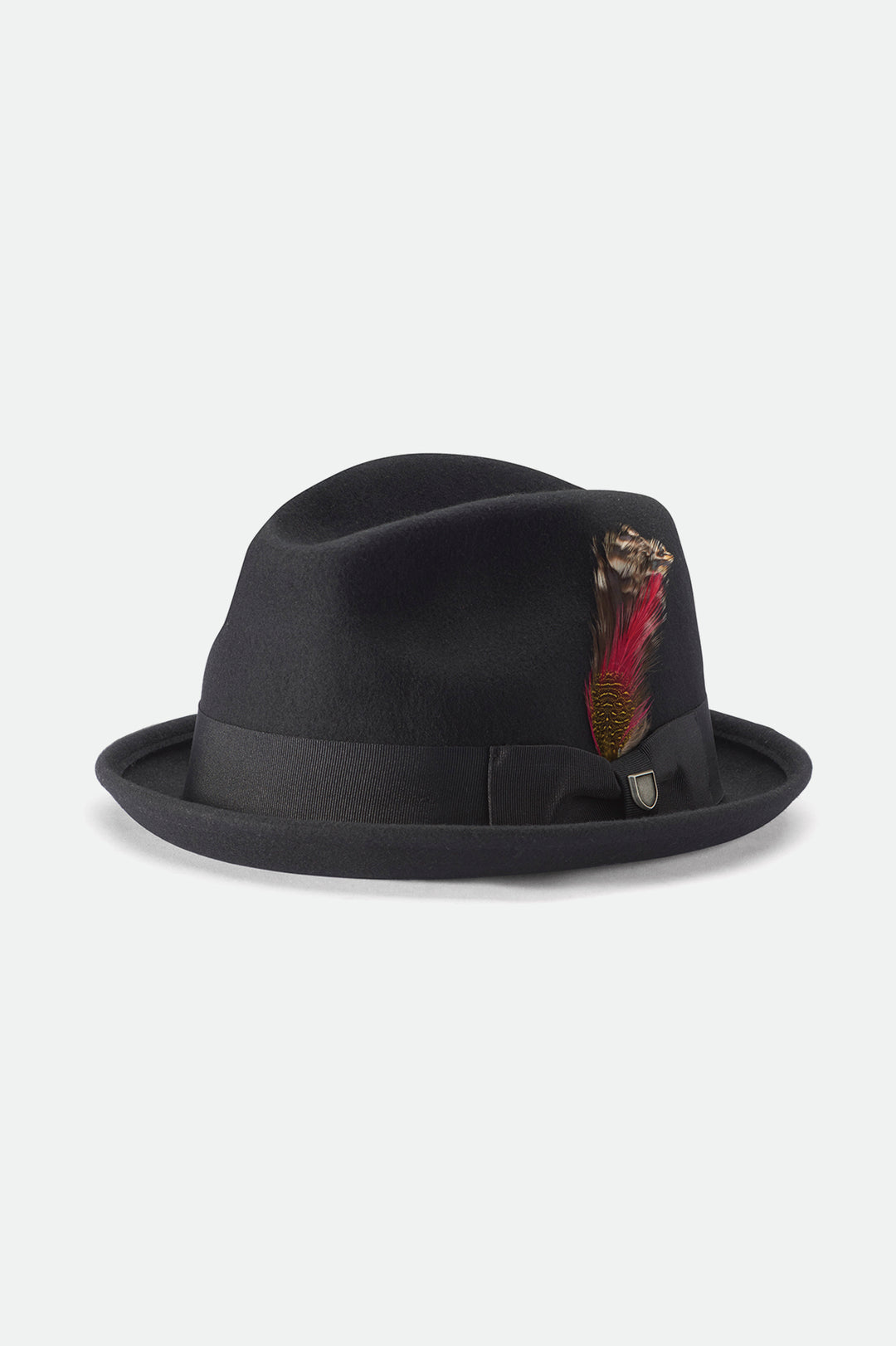 Gain Feather Fedora Hat - Black – Brixton